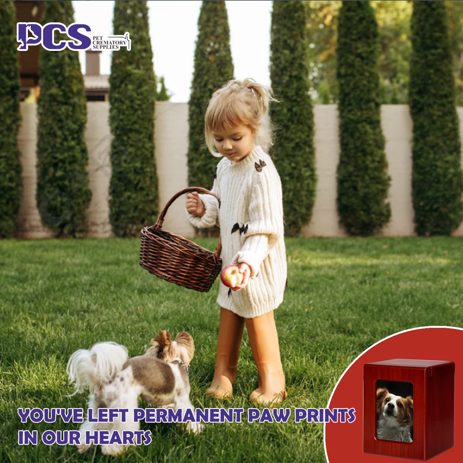 PCS Pet Urns for Dogs Ashes, Dog Photo Urn, Urns for Dog Ashes, Pet Cremation Box Red-Small
