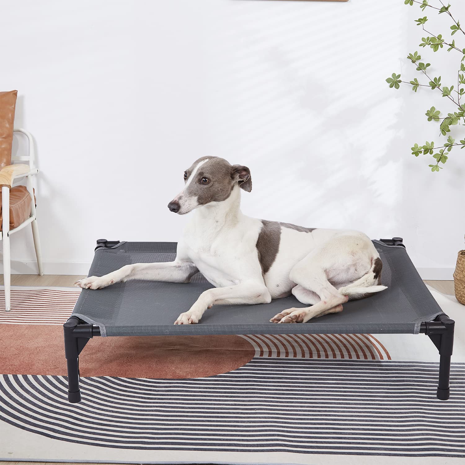 pettycare Elevated Outdoor Dog Bed - Raised Cot for Large Dogs, Heavy Duty Pet Cots Waterproof, Cooling, Washable Breathable Teslin Mesh, Durable, Non Slip, 42 Inches, Grey