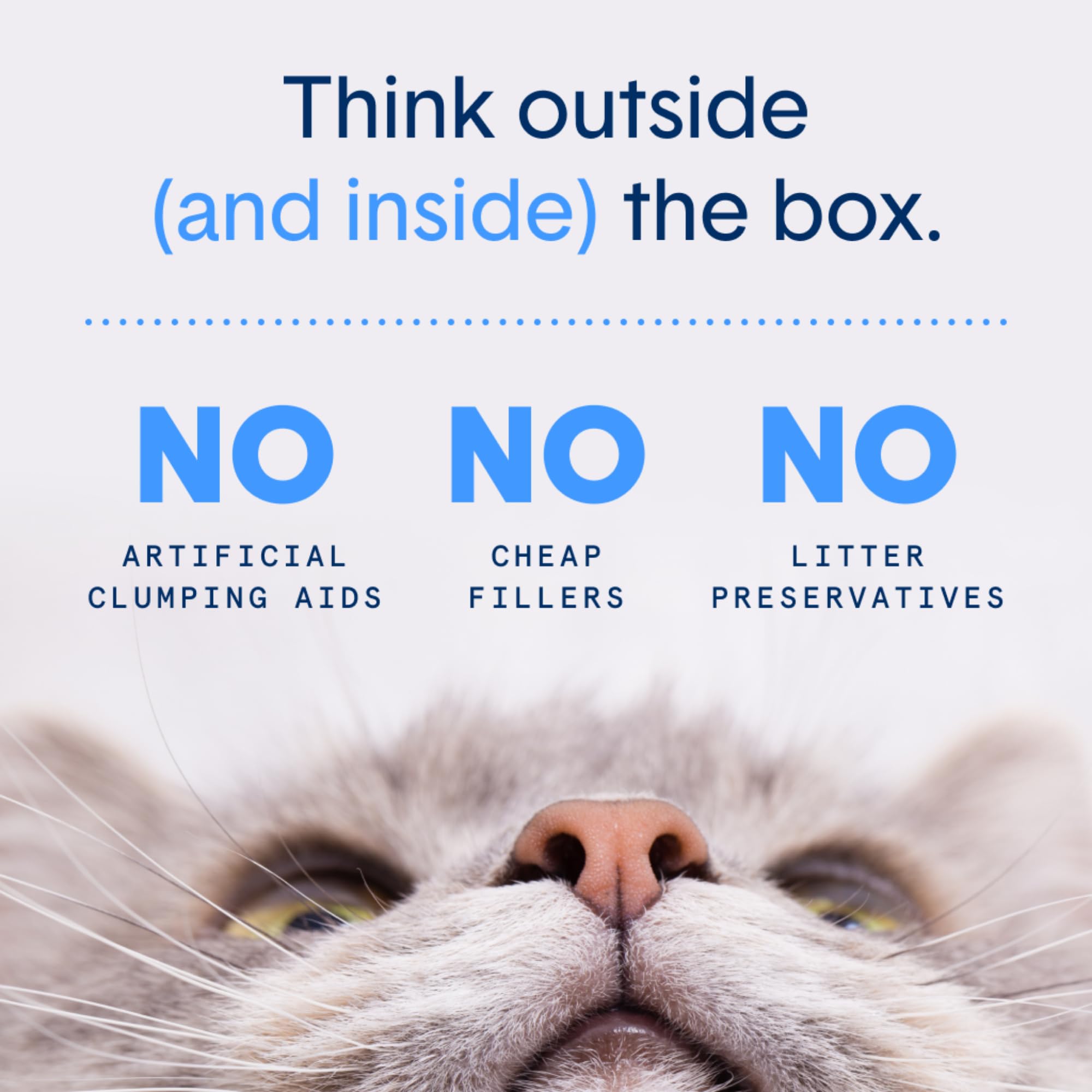 Boxie® Eco™ Farm to Box Sustainable 30 Day Odor Control Clumping Cat Litter, 6.5lb Boxiecat 99.9% Dust Free Plant-Based Kitty Litter