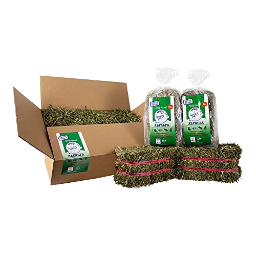 Grandpa's Best Premium Alfalfa Hay for Rabbits, Guinea Pigs, Chinchillas, Hamsters & Gerbils, 20lb Loose Boxed