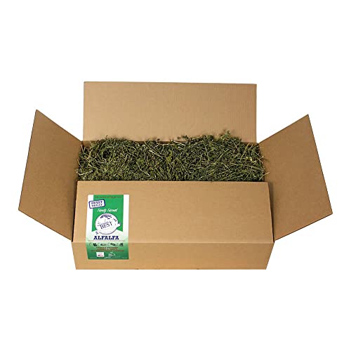 Grandpa's Best Premium Alfalfa Hay for Rabbits, Guinea Pigs, Chinchillas, Hamsters & Gerbils, 20lb Loose Boxed