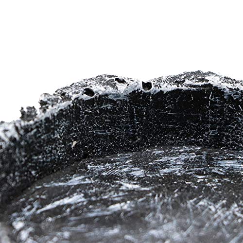 MINYULUA 2 Pack Reptile Water Dish Rock Worm Feeder Bowl Pet Feeding Tray for Tortoise, Gecko, Turtle, Snake, Lizard, Spider, Chameleon
