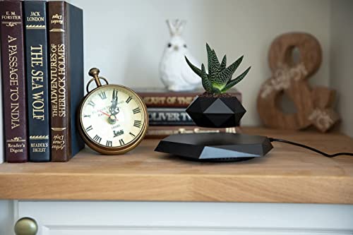 BandD Floating Plant Pot - Levitating Plant Pot for Succulents, air Bonsai & air Plants. Floating Planter for Home, Office & Desk Levitating Decor. Magnetic Floating Levitating Display. (Black)