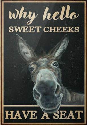 ZMKDLL Funny Toilet Restroom Black Donkey Why Hello Sweet Cheeks Have A Seat Retro Metal Tin Sign Vintage Sign for Home Coffee Wall Decor 8x12 Inch