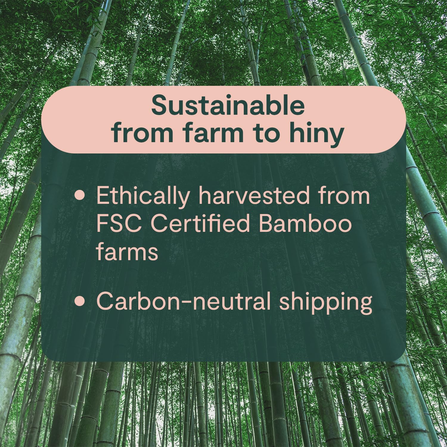 ecoHiny Premium & Soft Bamboo Toilet Paper | 12 Mega Rolls, 3 ply, 350 Sheets | FSC Certified, PFAS & BPA Free, Septic Safe | Tree Free & Plastic Free