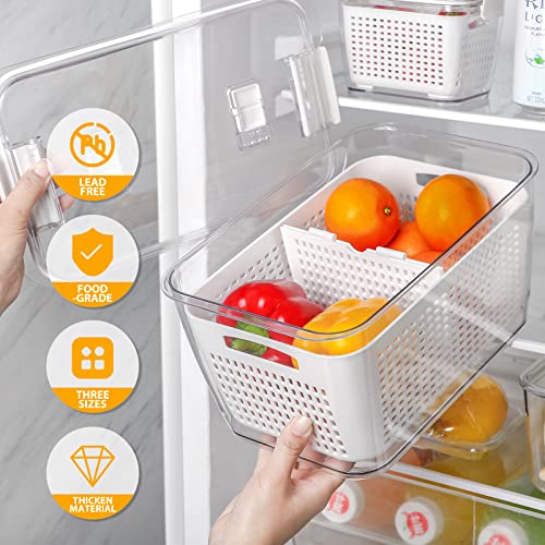 Fruit Storage Containers for Fridge, 3 Pack Produce Saver Containers 10 Pack BPA FREE Reusable Freezer Bags, Vegetable Fruit Container Storage Reusable Lunch Bag for Meat Fruit
