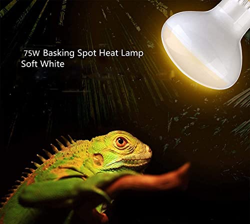 Qixivcom 2-Packs 75W Reptile Heat Lamp Basking Bulb E26 110V UVA Basking Spot Daylight Heat Lamp Glass Heating Lamp Reptile Heater for Bearded Dargon Turtle Aquarium Aquatic Lizard Chicken Coop