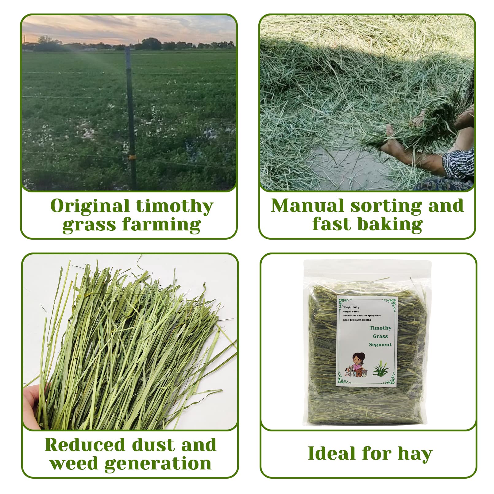 Hamiledyi Timothy Natural Hay Rabbit Hay Feed Premium Orchard Grass for Bunny Guinea Pig Chinchillas Chipmunk and Small Animal Pets Hay Food (1.1 Ib)
