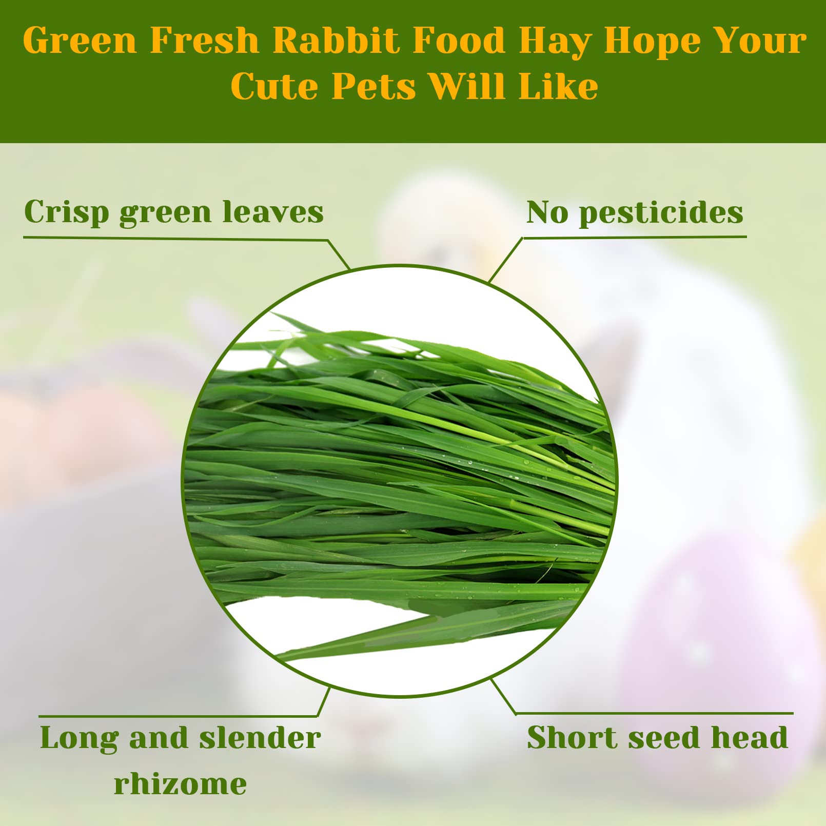 Hamiledyi Timothy Natural Hay Rabbit Hay Feed Premium Orchard Grass for Bunny Guinea Pig Chinchillas Chipmunk and Small Animal Pets Hay Food (1.1 Ib)