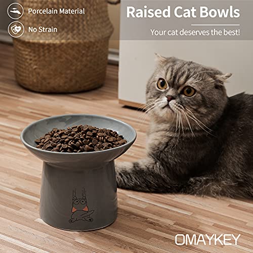 6.5 Inch Extra Wide Ceramic Raised Cat Bowls, Upgraded Elevated Porcelain Cat Food Water Bowl Dish, Stress Free Pet Feeder Bowls Dishes for Elder Big Cats & Small Dogs, White & Grey