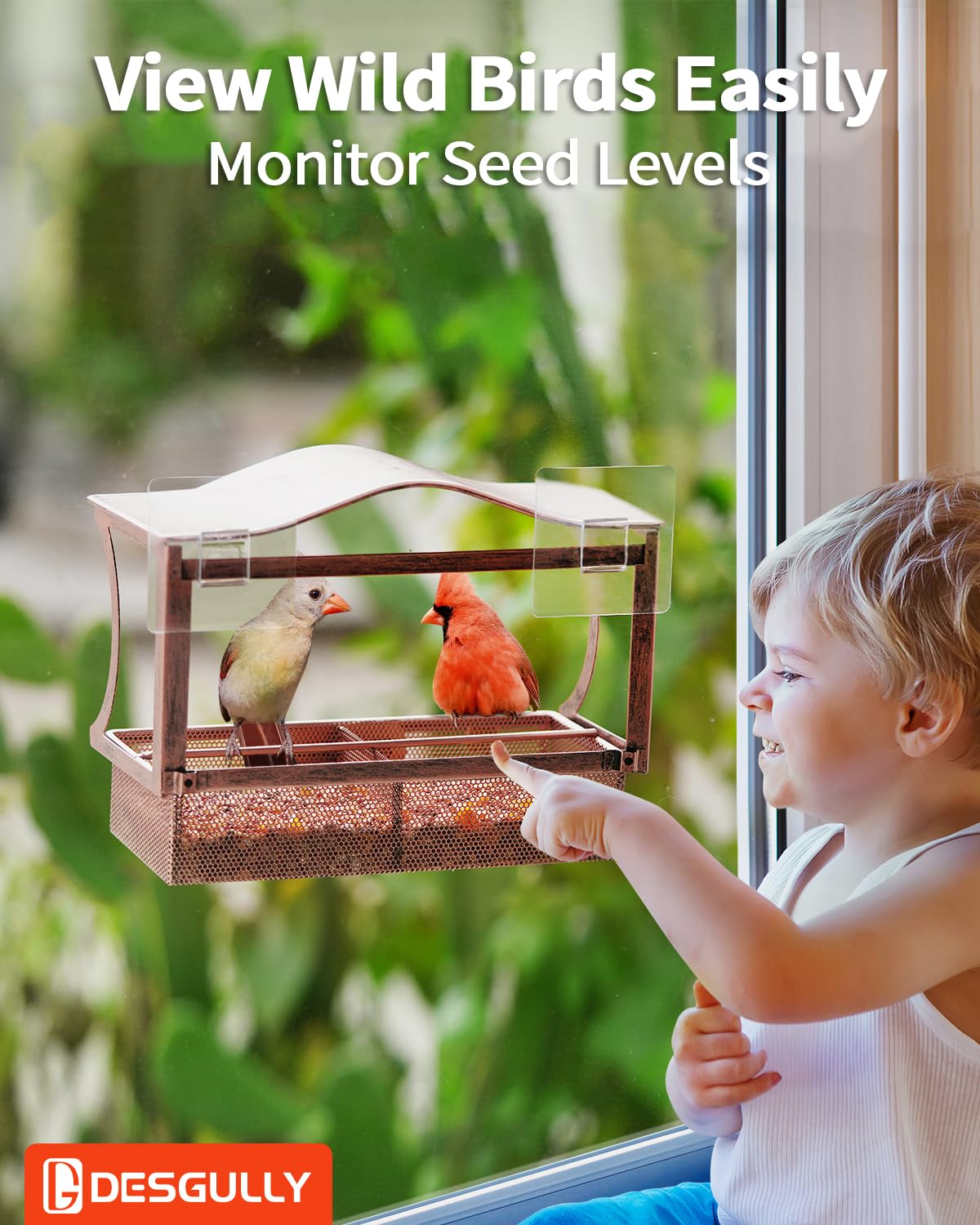 Window Bird Feeder, Desgully Metal Window Bird Feeder, Window Bird Feeders with Strong Suction Cups, Super Adhesive Sheet×4,Large Outdoor Bird Feeder, Bird Watching Gift (Curved)