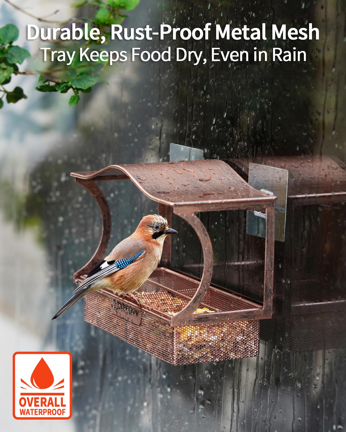 Window Bird Feeder, Desgully Metal Window Bird Feeder, Window Bird Feeders with Strong Suction Cups, Super Adhesive Sheet×4,Large Outdoor Bird Feeder, Bird Watching Gift (Curved)