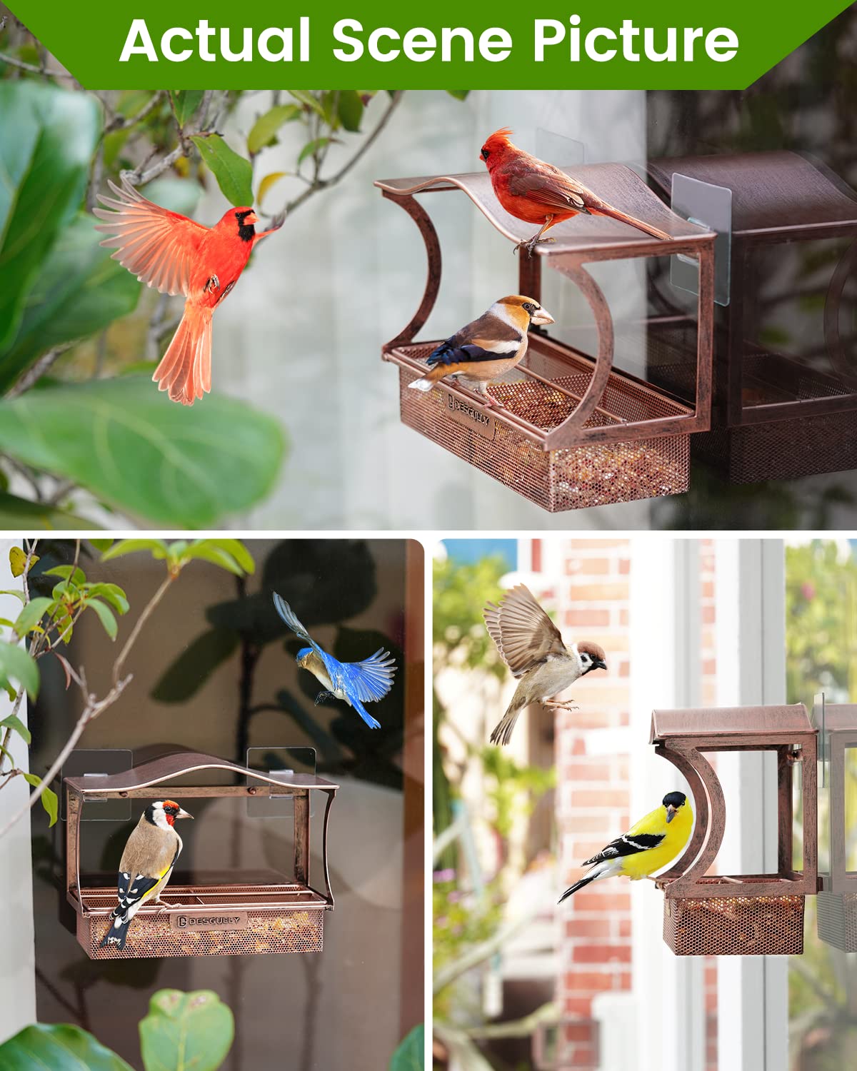Window Bird Feeder, Desgully Metal Window Bird Feeder, Window Bird Feeders with Strong Suction Cups, Super Adhesive Sheet×4,Large Outdoor Bird Feeder, Bird Watching Gift (Curved)