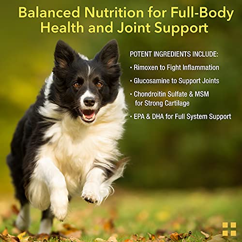 Animal Pharmaceuticals ZM-Ultra Complete Joint Support Soft Chews - Glucosamine Chondroitin for Dogs & Cats - Hip and Joint Health & Mobility Support Supplement - 60 ct