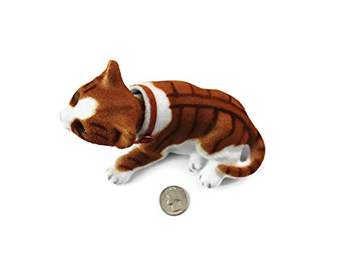Batty Bargains Giddy Bobblehead Tabby Cat with Auto Dashboard Adhesive (Brown)