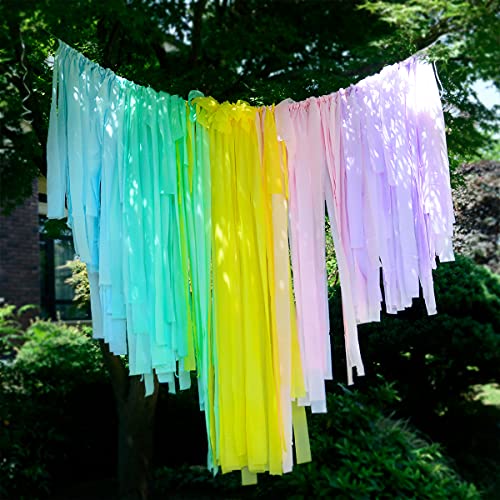 Melody Fantasy Ice Cream Party 200pcs Plastic Strips Streamer Backdrop Pastel Streamer Fringe Curtain Rainbow Backdrop Streamers for Girls Birthday Candyland Party Background Pastel Party Decorations