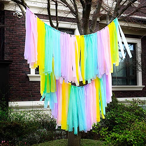 Melody Fantasy Ice Cream Party 200pcs Plastic Strips Streamer Backdrop Pastel Streamer Fringe Curtain Rainbow Backdrop Streamers for Girls Birthday Candyland Party Background Pastel Party Decorations