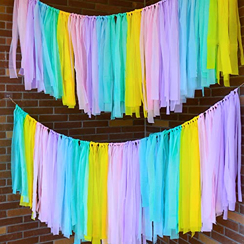Melody Fantasy Ice Cream Party 200pcs Plastic Strips Streamer Backdrop Pastel Streamer Fringe Curtain Rainbow Backdrop Streamers for Girls Birthday Candyland Party Background Pastel Party Decorations