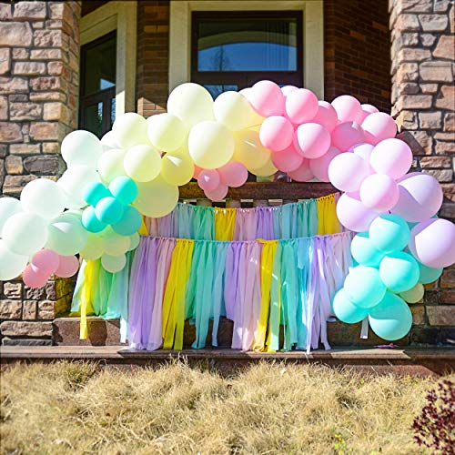 Melody Fantasy Ice Cream Party 200pcs Plastic Strips Streamer Backdrop Pastel Streamer Fringe Curtain Rainbow Backdrop Streamers for Girls Birthday Candyland Party Background Pastel Party Decorations