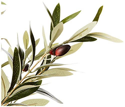 Amazon Brand - Stone & Beam Artificial Olive Tree with Plastic Nursery Pot, 2.2 Feet (26.5 Inches) / Small, Indoor