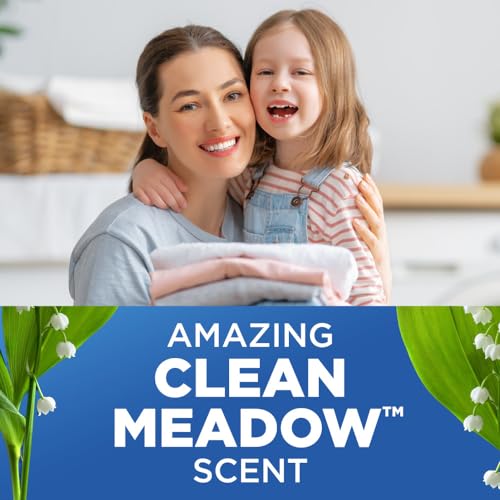 Arm & Hammer Plus OxiClean Clean Meadow, 77 Loads Liquid Laundry Detergent, 100.5 fl oz