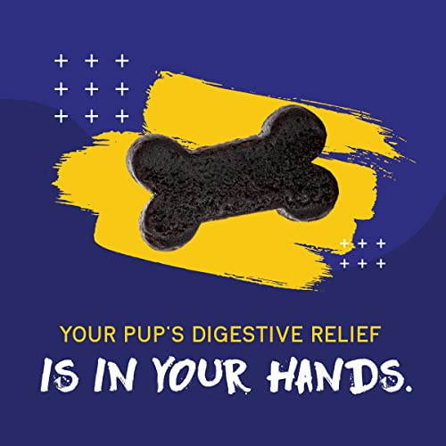 PupGrade Digestive Support Chews for Dogs - Upset Stomach, Diarrhea, Bowel, & Immune Support - Supplement with Probiotics, Prebiotics, Enzymes - Pumpkin, Blueberry, Mineral Oil - 60 Soft Chews