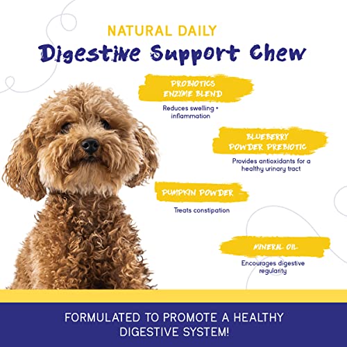 PupGrade Digestive Support Chews for Dogs - Upset Stomach, Diarrhea, Bowel, & Immune Support - Supplement with Probiotics, Prebiotics, Enzymes - Pumpkin, Blueberry, Mineral Oil - 60 Soft Chews