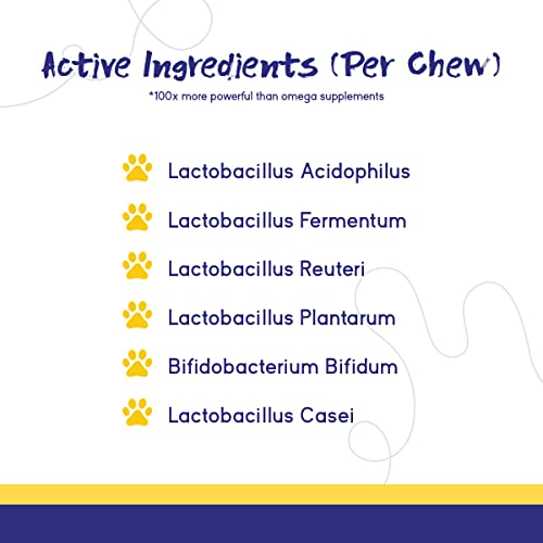 PupGrade Digestive Support Chews for Dogs - Upset Stomach, Diarrhea, Bowel, & Immune Support - Supplement with Probiotics, Prebiotics, Enzymes - Pumpkin, Blueberry, Mineral Oil - 60 Soft Chews