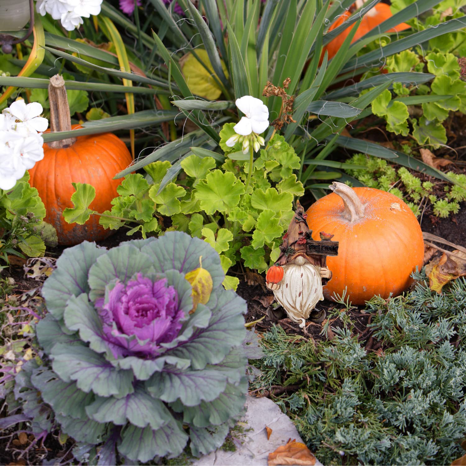Needzo Cute Autumn Welcome Sign Garden Gnome Holding a Pumpkin, Fall Gnomes for Yard Decoration, Thanksgiving Porch Decorations, 6 Inches