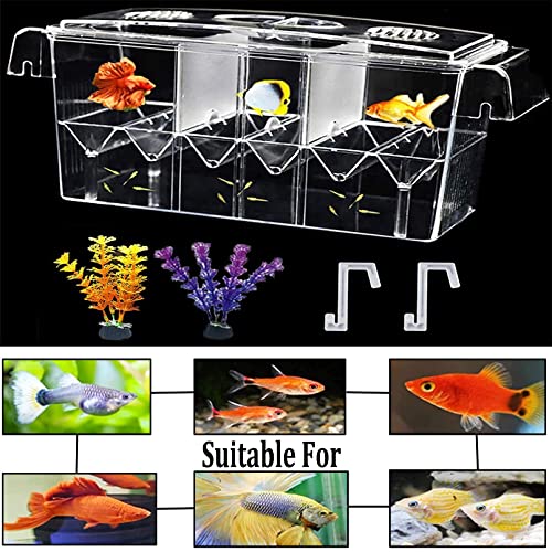 PINVNBY Fish Breeding Box Aquarium Acrylic Fish Isolation Breeder Box Acclimation Hatchery Incubator Box with Suction Cups for Baby Fishes Shrimp Clownfish Aggressive Fish and Guppy