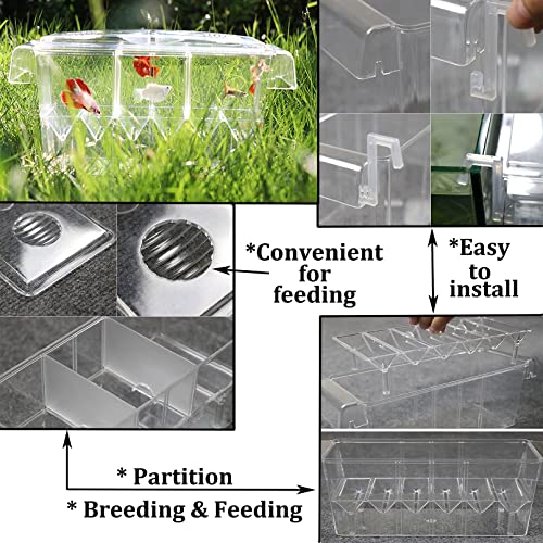 PINVNBY Fish Breeding Box Aquarium Acrylic Fish Isolation Breeder Box Acclimation Hatchery Incubator Box with Suction Cups for Baby Fishes Shrimp Clownfish Aggressive Fish and Guppy