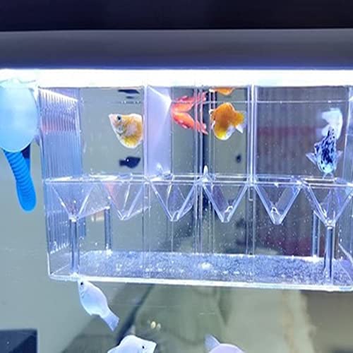 PINVNBY Fish Breeding Box Aquarium Acrylic Fish Isolation Breeder Box Acclimation Hatchery Incubator Box with Suction Cups for Baby Fishes Shrimp Clownfish Aggressive Fish and Guppy