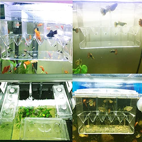 PINVNBY Fish Breeding Box Aquarium Acrylic Fish Isolation Breeder Box Acclimation Hatchery Incubator Box with Suction Cups for Baby Fishes Shrimp Clownfish Aggressive Fish and Guppy