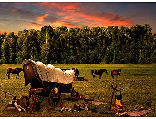 32.25" X 44" Panel Covered Wagon Horses Western Sun Up to Sun Down Multicolor Cotton Fabric Panel (D374.46).