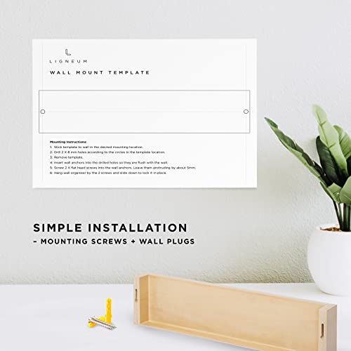 Ligneum Small Wall Shelf with Hooks for Hanging Coats - Wall Mounted Coat Rack and Floating Shelf with Hooks - Apartment Decor Entryway Wall Shelf with Key Organizer and Mail Organizer.