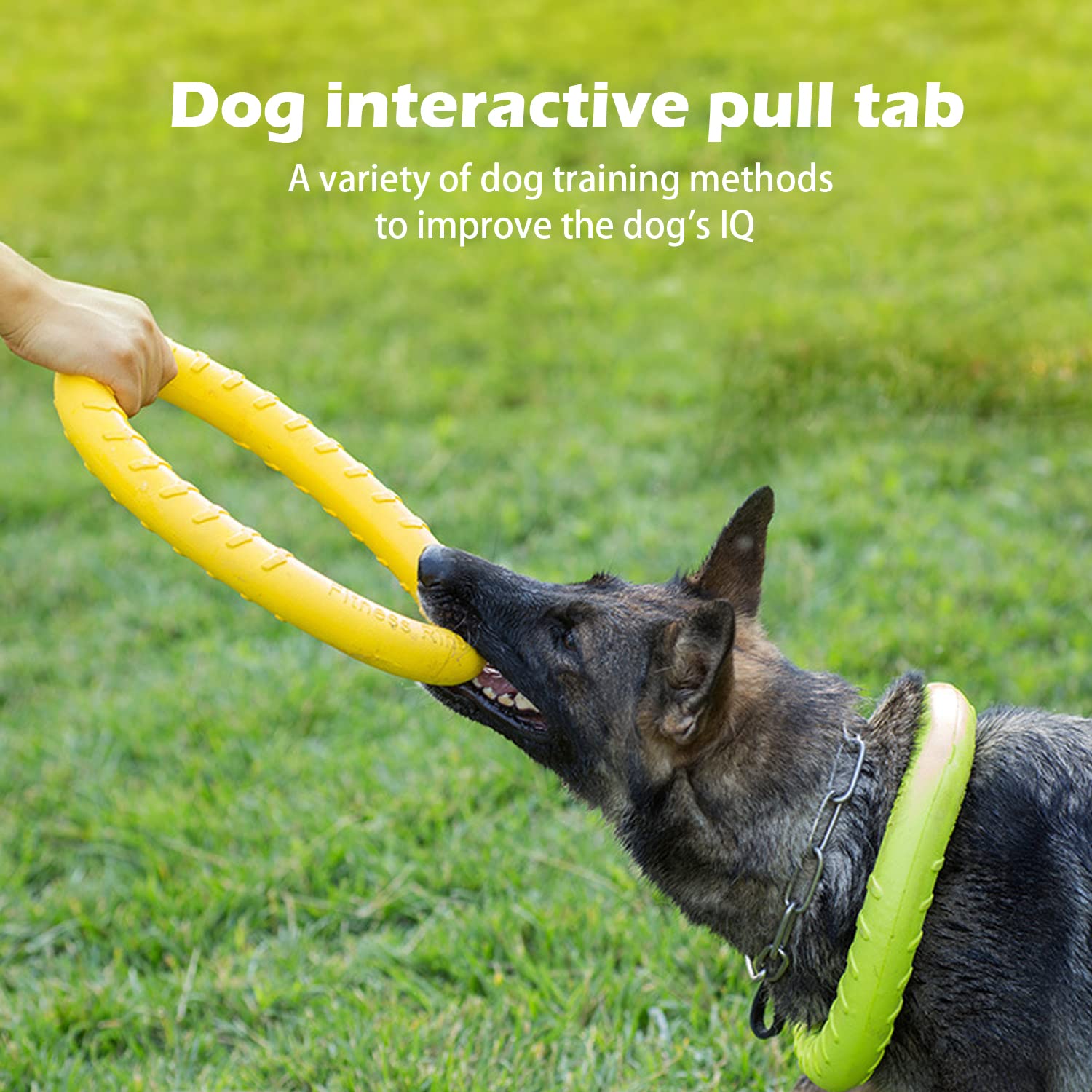 Dog Balls Toy for Aggressive Chewers (yellow ring)
