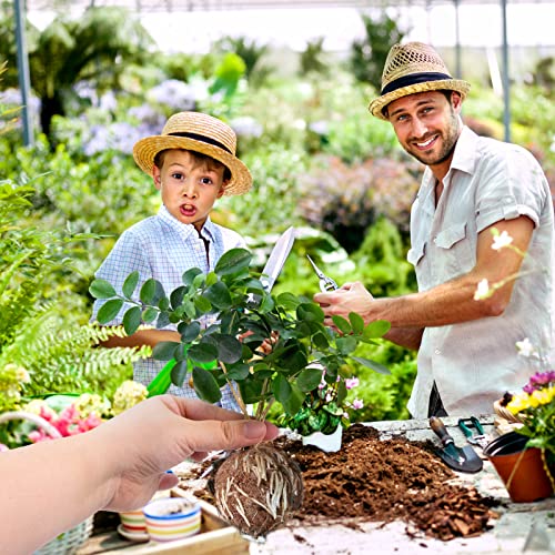 QHC KOCK Tree Root Growing Box,10 Pack Rooting Ball Grafting Tools,Sprouts Growing Kit Reusable High Pressure Tree Rooter Air Plant Layering Propagation Pot Rooting Device for Plant Cutting Seedings
