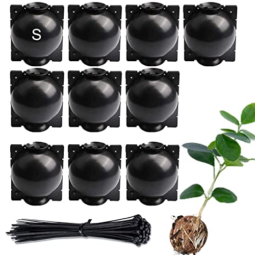 QHC KOCK Tree Root Growing Box,10 Pack Rooting Ball Grafting Tools,Sprouts Growing Kit Reusable High Pressure Tree Rooter Air Plant Layering Propagation Pot Rooting Device for Plant Cutting Seedings