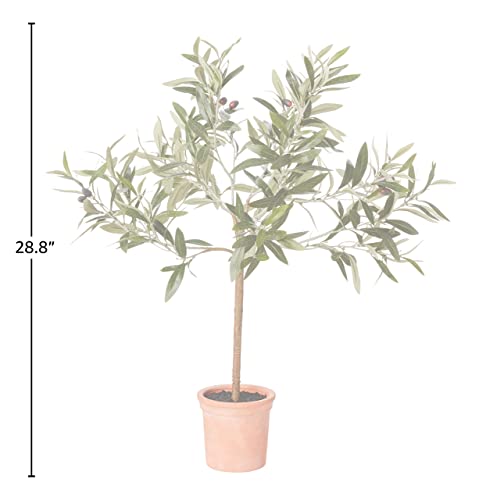 Amazon Brand - Stone & Beam Artificial Olive Tree Topiary with Faux Terracotta Pot, 2.4 Feet (28.8 Inches), Indoor