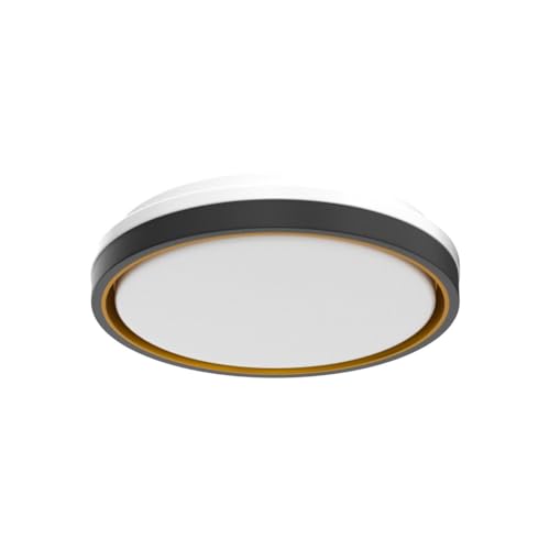 Hurrah LED Ceiling Light Fixture with Remote Control - 17W Flush Mount Dimmable Ceiling Lamp Black Round 2700K-6500K 11.8in Close to Ceiling Lighting for Bedroom Living Room Hallway Kitchen