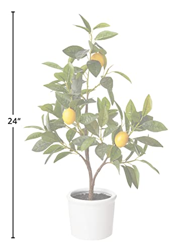 Amazon Brand - Stone & Beam Artificial Lemon Citrus Tree with Ceramic Pot, 2 Feet (24 Inches), Indoor