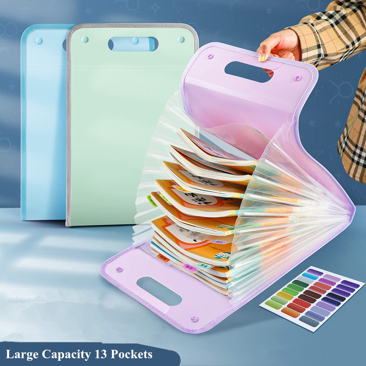 Ailifly A4 Black Polypropylene File Folder, Large Capacity, Tear-Resistant, Waterproof, Double Snap Design, 13 Pockets, 168 White Labels, 1 Pack