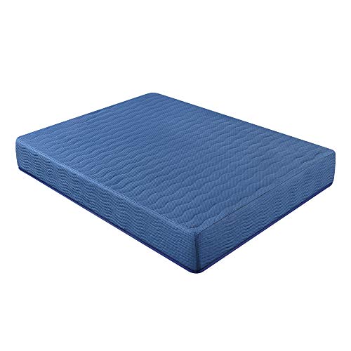 PrimaSleep 10 Inch New Glass Fiber Free Foam Mattress,Comfort Body Support (Queen) (PR10FMF1Q)