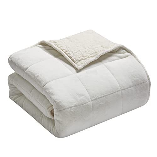 Thesis Home Weighted Blanket with Premium Glass Beads for Kids and Adults- 100% Brushed Microfiber Plush Reversible Sherpa Calming Blanket- 10 lbs - 50 X 60, Ivory