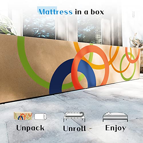 Sdoodo Queen Mattress, 10 Inch Hybrid Mattress with Memory Foam and Individual Pocket Springs, Medium Firm, Mattress in a Box
