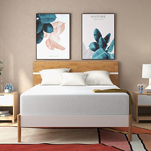 FONTOI King Size Mattress in a Box, 10 inch Bed Mattresses, Cooling Gel Green Tea Memory Foam, Medium Firm (10IN-MEGO-King)