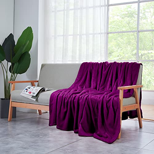 VANSILK Flannel Fleece Throw Blanket for Couch Purple 300 GSM, Lightweight Luxury Fuzzy Cozy Throws and Blankets for Sofa or Bed, Super Soft & Comfy (90x90 Inches)