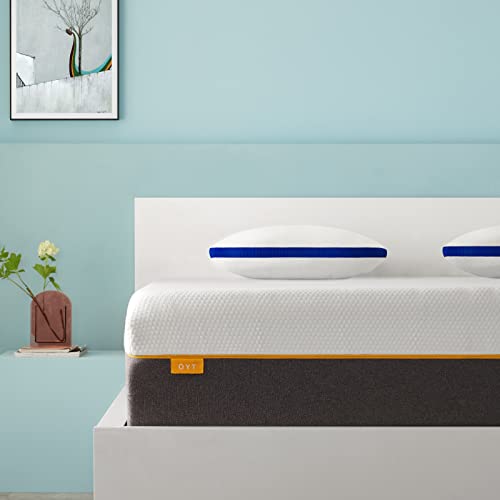 OYT 14" Queen Size Mattress and Queen Size Pillow 2-Pack, Gel Memory Foam Twin Bed Mattress in a Box and Cooling Shredded Memory Foam Pillows with CertiPUR-US Certified Foam for Sleep Supportive