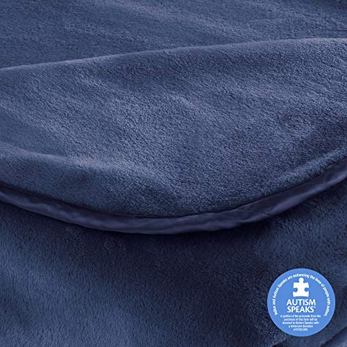 Vellux The Heavy Weight 20 Pound Weighted Camel Blanket, 60" W x 80" L 20 Lbs