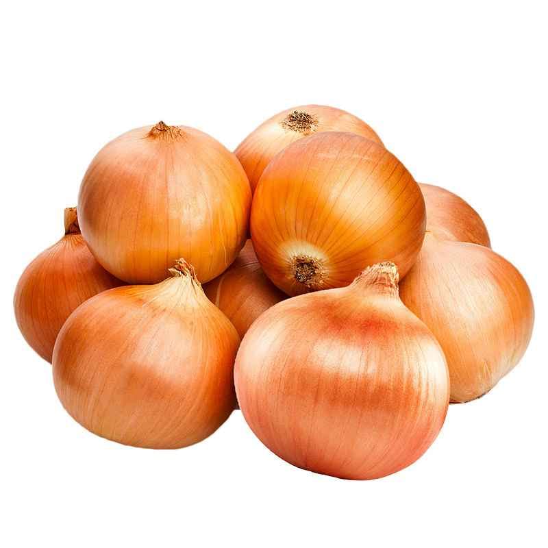 Organic fresh yellow onions fresh produce Vegetable 10 Lbs